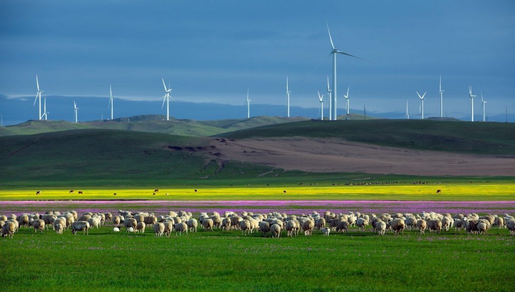 10 Best Places to Visit in Inner Mongolia