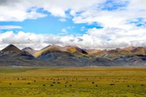 The 10 Greatest Grasslands of China